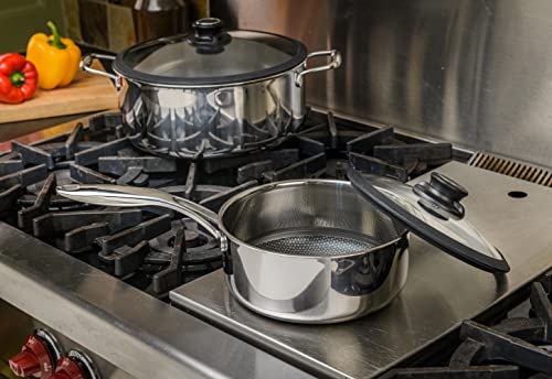 Black Cube Frieling Hybrid Stainless/Nonstick Cookware Tempered Glass Lid, 12 1/2-Inch Diameter, 12.5-Inch, Silver