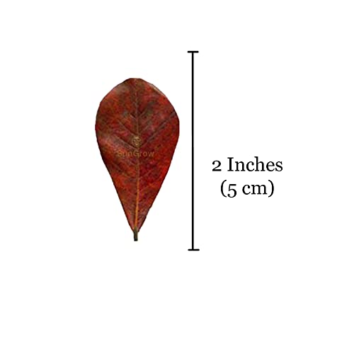 SunGrow 50 pcs Catappa Indian Almond Leaves for Betta Fish Tank Aquarium, 2โ Water Conditioner Leaves, Leaf Also Suitable for Shrimp, Goldfish, Guppy and Frogs