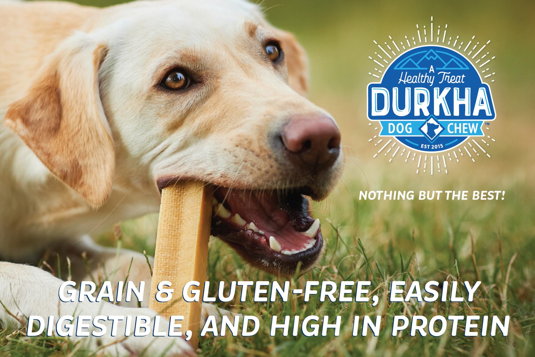 Durkha Yak Himalayan Dog Chews | Natural Long Lasting Dog Chew Made from Yak or and Cow Milk | Great for Aggressive Chewers, 5 Piece, Medium(3-4 OZ per Piece)
