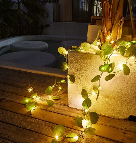 LED String Light Wedding Party Home Garden Bedroom Outdoor Indoor Wall Decorations(Solar String Lights) (Eucalyptus Copper Wire lamp, 6.5 Feet)