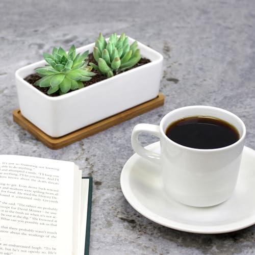 Ceramic Succulent Pots - 1 Pot - Short Rectangle - with Bamboo Tray - White - 6.3"