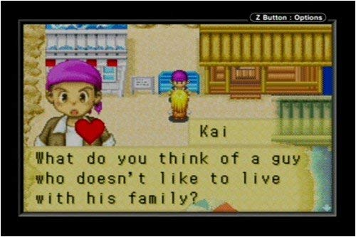 Harvest Moon More Friends of Mineral Town (Renewed)