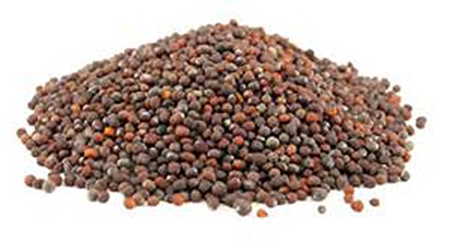 Non-GMO Broccoli Seeds for Sprouting Sprouts Microgreens (2 Ounces of Pure Seed). Country Creek LLC. Brand.