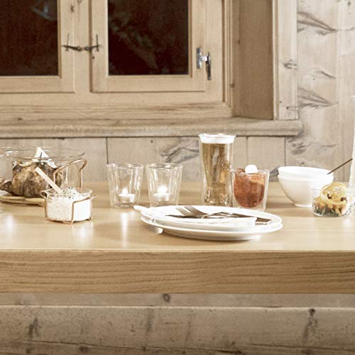 Bodum Unisex SKÅL Double Wall Glass 6 oz - Set of 2 Transparent Glassware