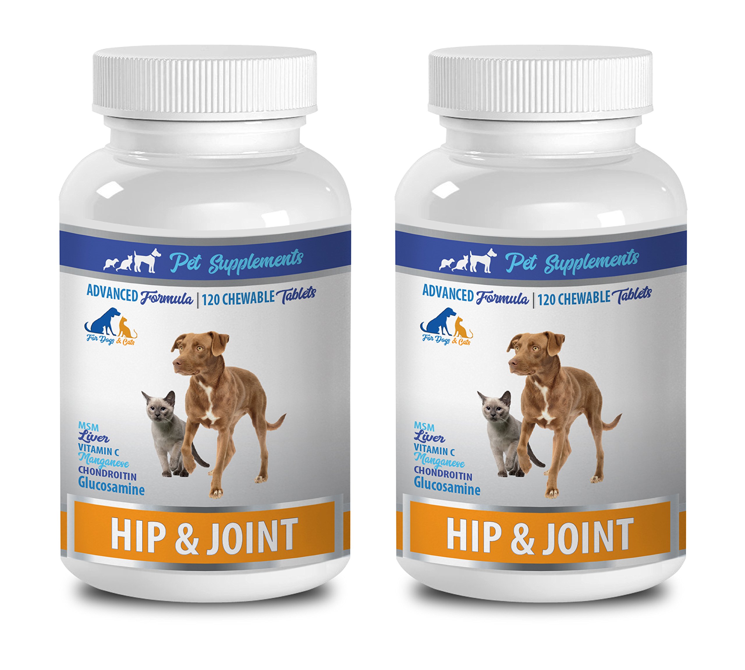Dog Joint Supplement - Hip and Joint - Health and Support - for Dogs and Cats - msm for Pets - 2 Bottle (240 Chews)
