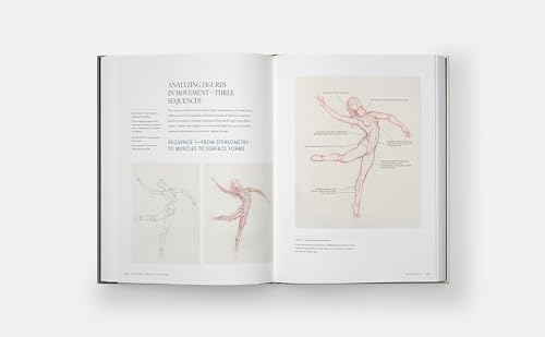 Dynamic Human Anatomy: An Artist's Guide to Structure, Gesture, and the Figure in Motion