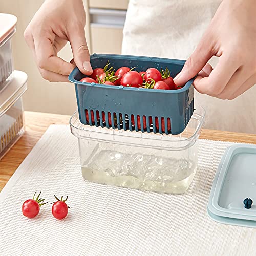 Creat Col Boy Storage Sealed Storage Box Refrigerator Food Box Box Box Fresh-Keeping Kitchen,Dining & Bar (Blue)