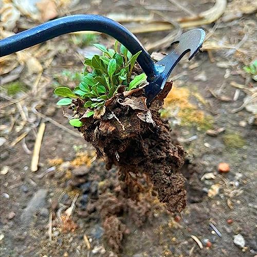 olybell Stainless Weeding Artifact Uprooting Weeding Tool, Stainless Steel Forged Weed Puller 4 Teeth Dual Purpose Weeder, Hand Weeder Tool for Gardening with Long Handle (Black)