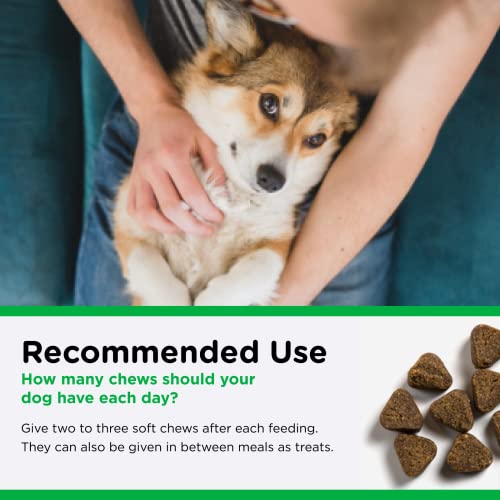 Nutri-Vet Dental Health Soft Chews for Dogs | Helps Control Plaque and Tartar Buildup | Natural Hickory Smoke Flavor | 70 Count