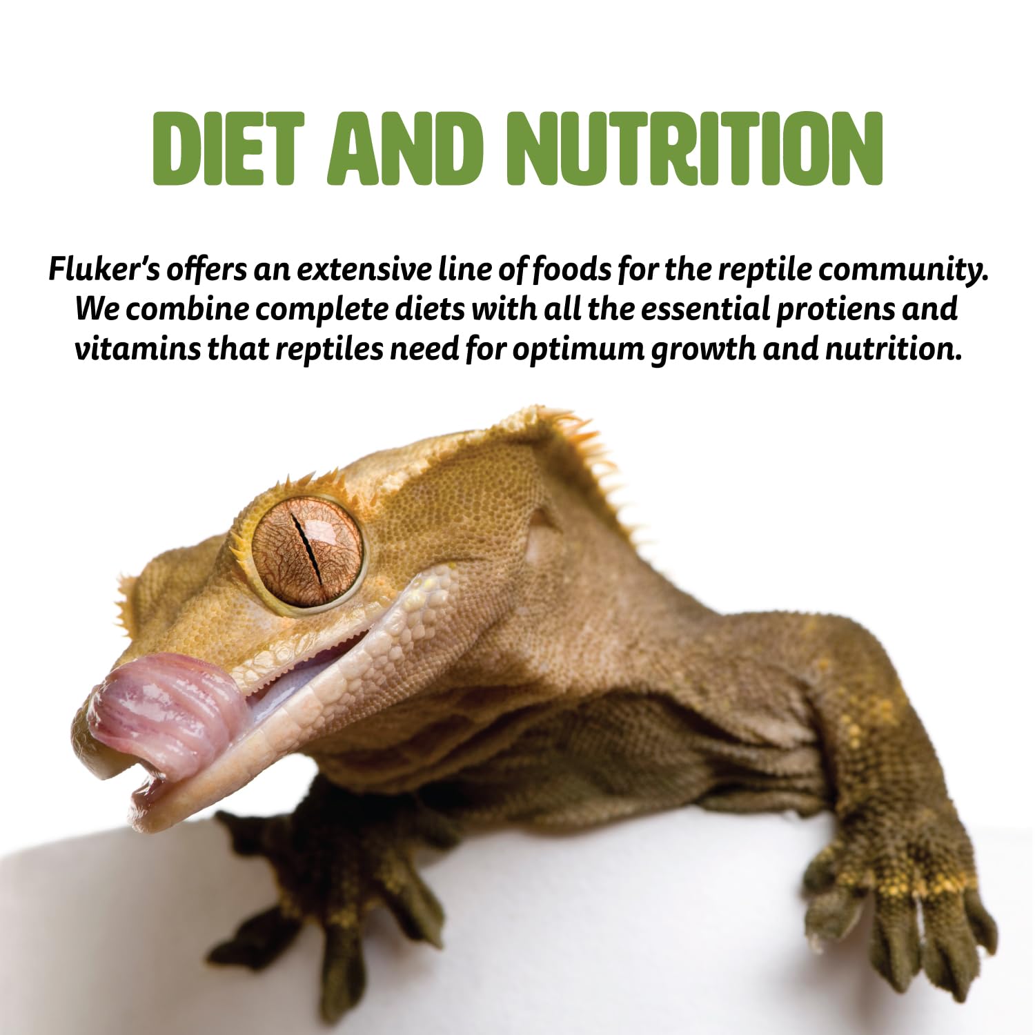 Fluker's Fresh Feeder Vac Pack Crickets, All Natural and Preservative Free, Great for Insect Eating Reptiles, Birds, or Small Animals, 0.7 oz