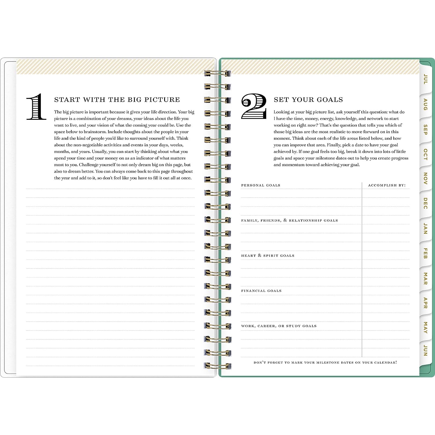 Blue Sky Day Designer for 2023-2024 Academic Year Weekly and Monthly Planner, 5' x 8', Frosted Flexible Cover, Wirebound, Palms (137892-A24)