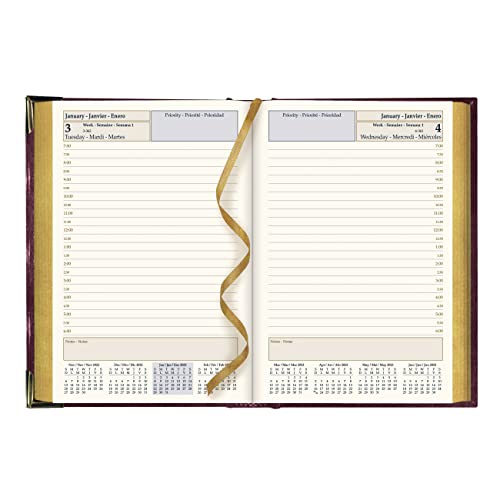 Brownline 2023 Executive Daily Planner, Appointment Book, 12 Months, January to December, Sewn Binding, 7.125" x 4.875", Assorted Colors, Trilingual (CBE504.ASX-23)