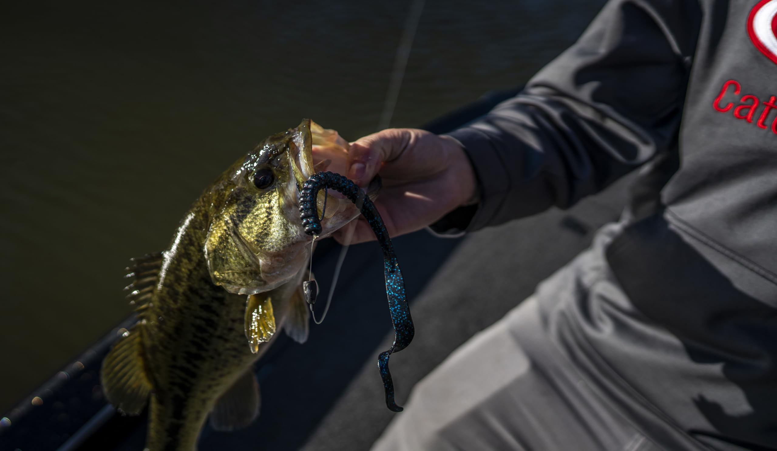 Berkley PowerBait® Power Worm Fishing Bait, Cherryseed, 7in | 18cm, Irresistible Flavor, Classic Curly Tail Worm Profile, Ideal for Spring, Summer and Fall Fishing