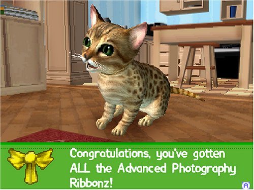 Petz Catz 2 - Nintendo DS (Renewed)