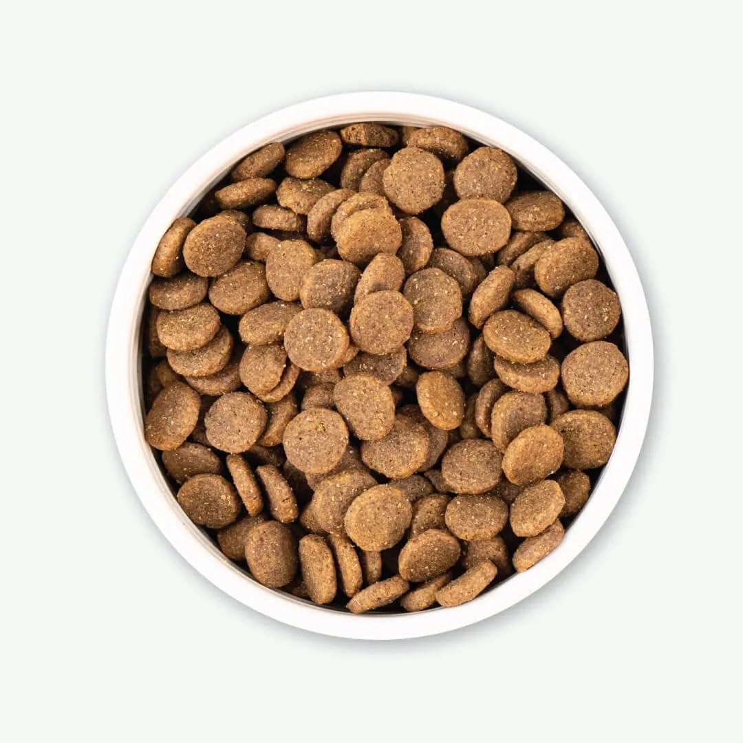 Earthborn Holistic Great Plains Feast Grain-Free Natural Dry Dog Food, 12.5 lb