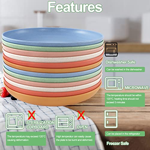 Dwrttow 12 Pack Wheat Straw Plates,9 Inch Lightweight Straw Plates,Plastic Plates Reusable,Unbreakable Deep Dinner Plates,Perfect for Dinner Dishes,BPA free & Eco-Friendly,Dishwasher & Microwave Safe