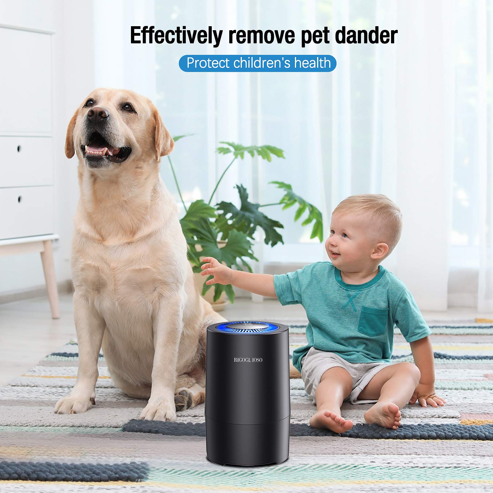 RIGOGLIOSO Portable Air Purifier,Air lonizer,USB Air Cleaner, True Hepa Homes Air Purifier Replacement Filter, Models GL2103/SY900S Filter