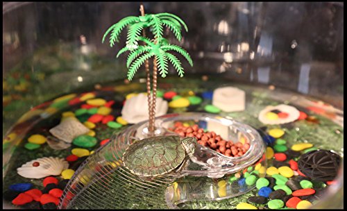 OMEM Portable Reptile House Terrarium Habitat Clear and Breathable (Medium)