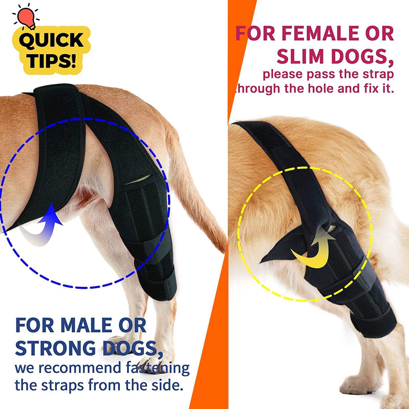Dog Knee Brace for Torn Acl Hind Leg, Dog Leg Brace with Harness and Connection Belt, Support for Knee Cap Dislocation, Arthritis, Torn ACL Hind Leg (S(Thigh Girth 4.7″-8.9″, Leg Height 2″-6.9″))