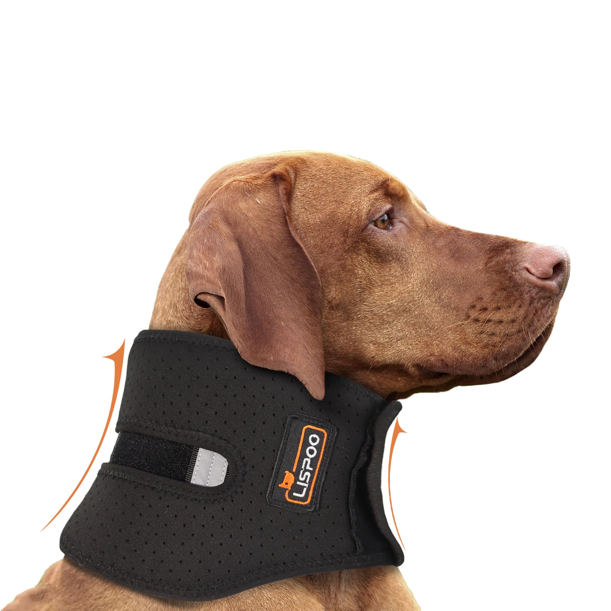 Dog Cervical Collar Neck Brace Supports Cervical Vertebral Sprains Instability, Neck Brace for Dog Limit The Range of Movement up and Down, Dog Cervical Brace Helps Recover from Cervical Sprains M