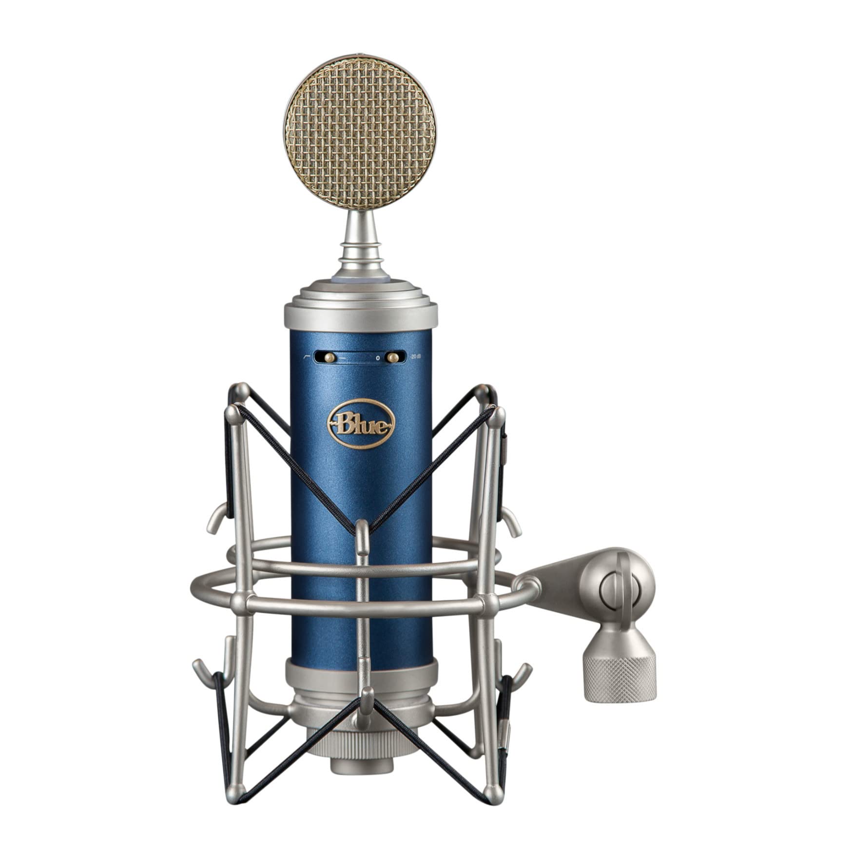Blue Microphones Bluebird Large Diaphragm Studio Condenser Microphone Bundle with Microphone Stand, Microphone Cable, Pop Filter (4 Items)