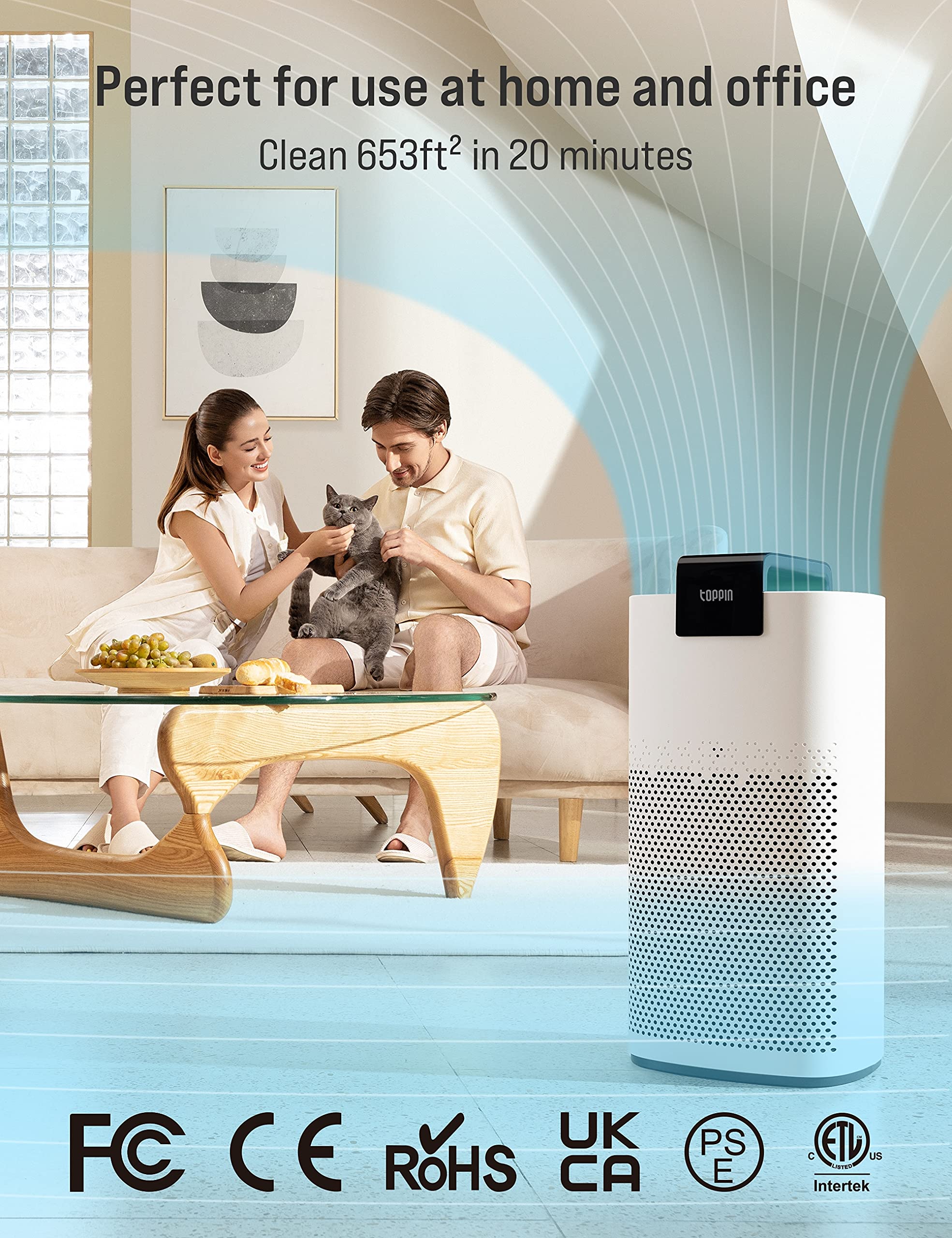 TOPPIN Filter Replacement H13 True HEPA Air Filter for TOPPIN TPAP005 AP005 TP-AP005 Air Purifier to Clean Pets Hair Smoke Odors Dust Pollen Home and Room 1500 to 2000 sq ft