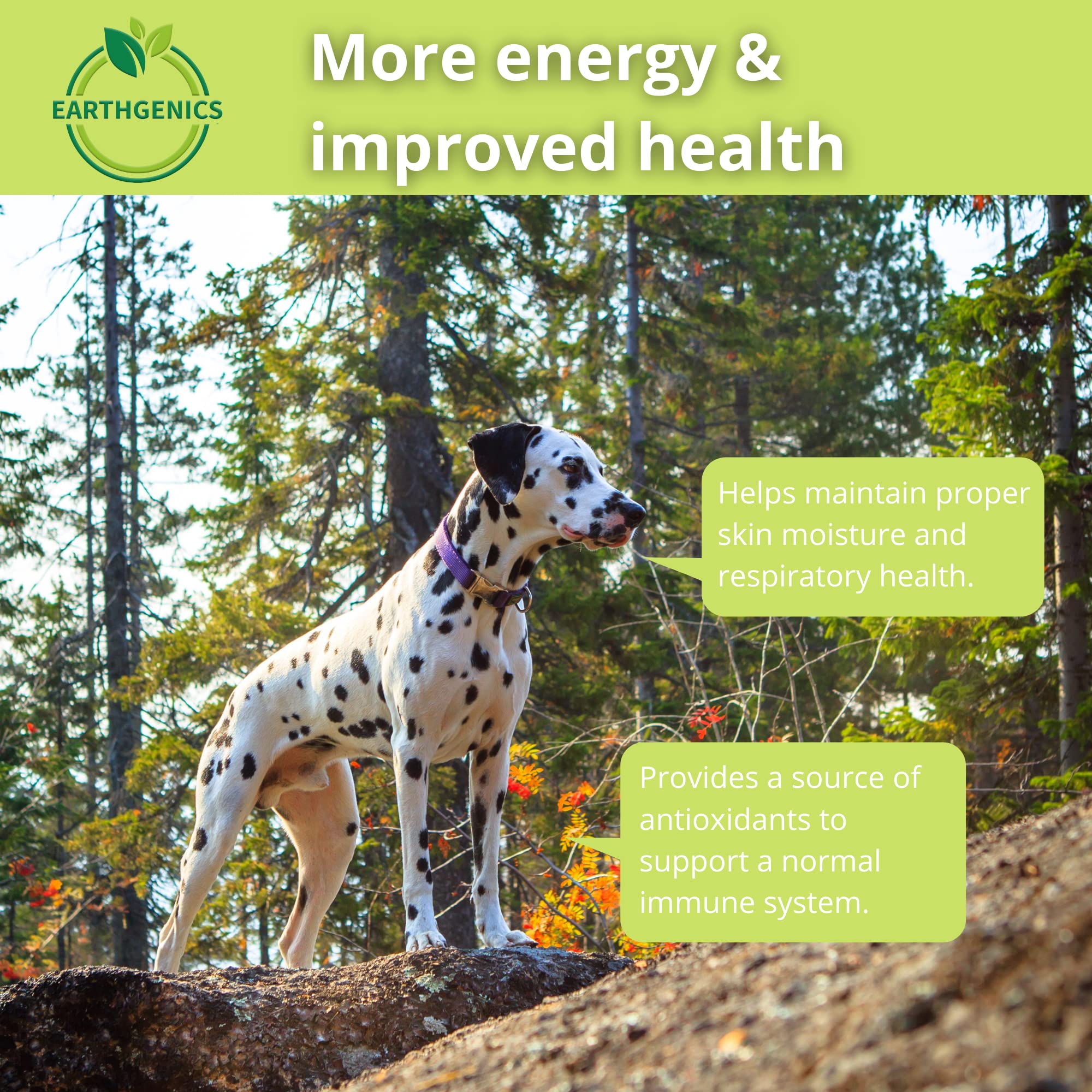 Premium Dog Allergy Support Supplement with Natural Ingredients β Advanced Pet Allergy Relief for Dog Immunity Support and Respiratory Health β 90 Dog Chews