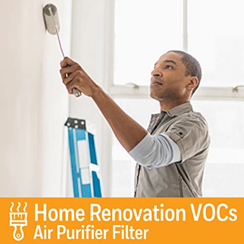 Honeywell Air Purifier Filter for Home Renovation VOCs β Filter S for HPA3000 PowerPlus and HPA5000 Insight Series, HRFSC1