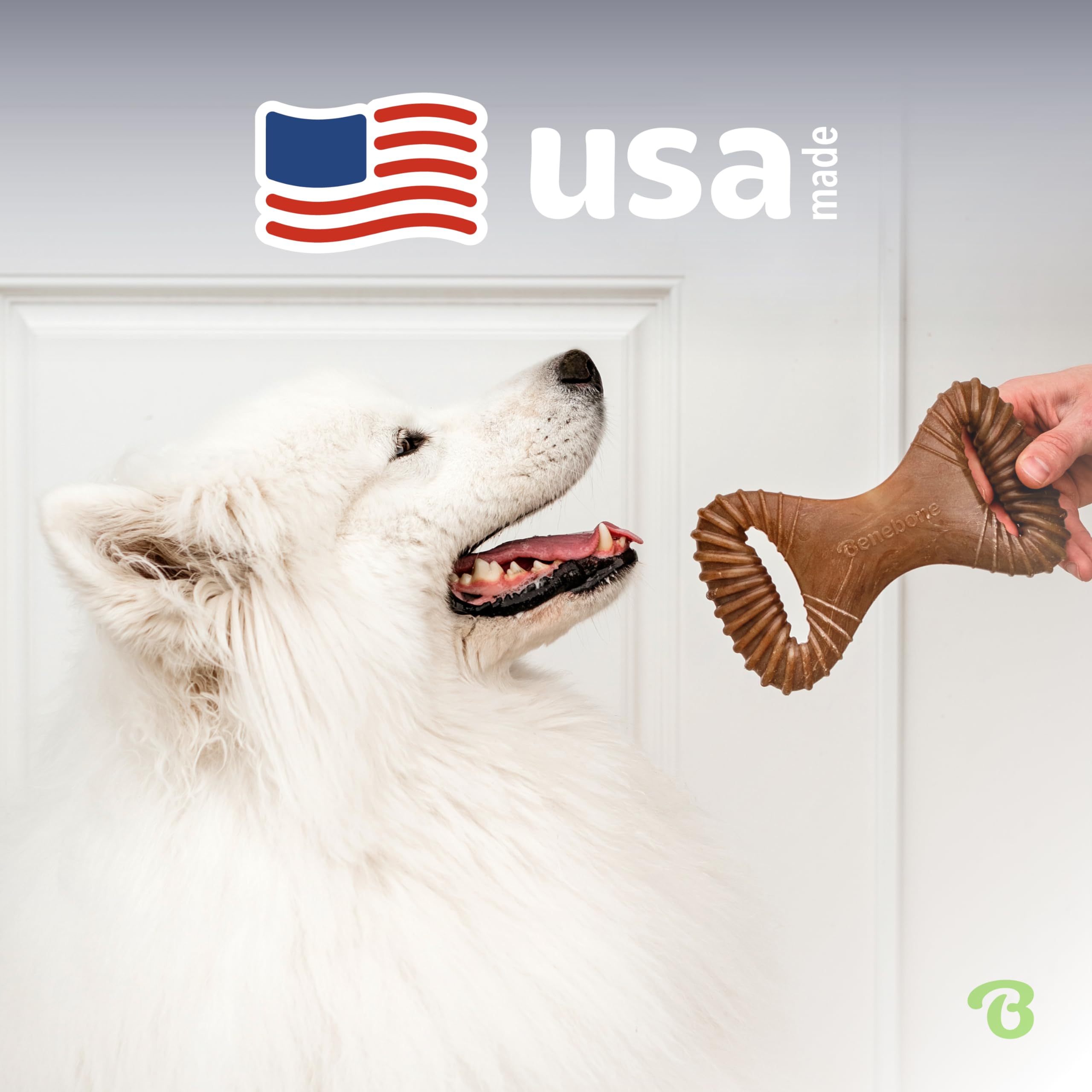 Benebone Dental Durable Dog Chew Toy for Aggressive Chewers, Real Bacon, Made in USA, Large