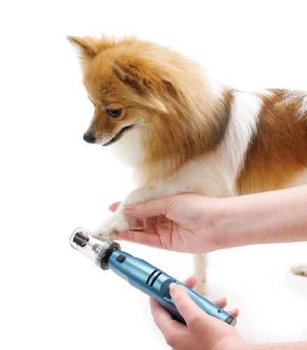 Oster Gentle Paws Less Stress Dog and Cat Nail Grinder, 2 Speed (078129-600-000)