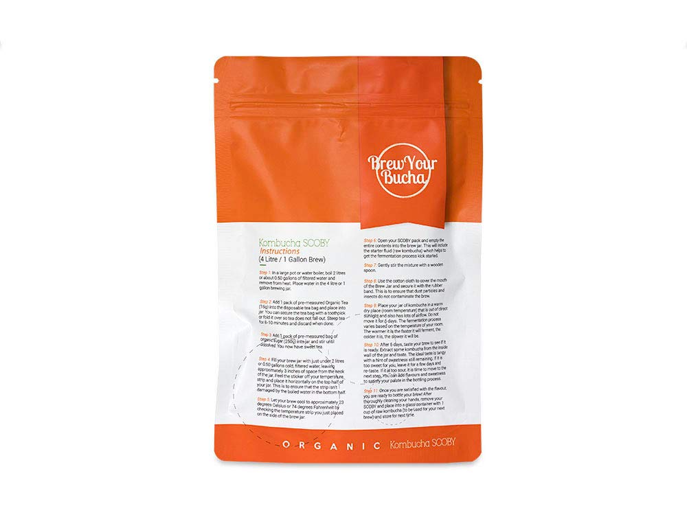 Brew Your Bucha Kombucha Tea SCOBY with Starter Fluid - Kombucha Starter Kit with Scoby, Live Culture, Scoby Kombucha Starter, Kombucha Kit, DIY Kombucha Brewing Kit, Scoby Kombucha Starter (1 Scoby)