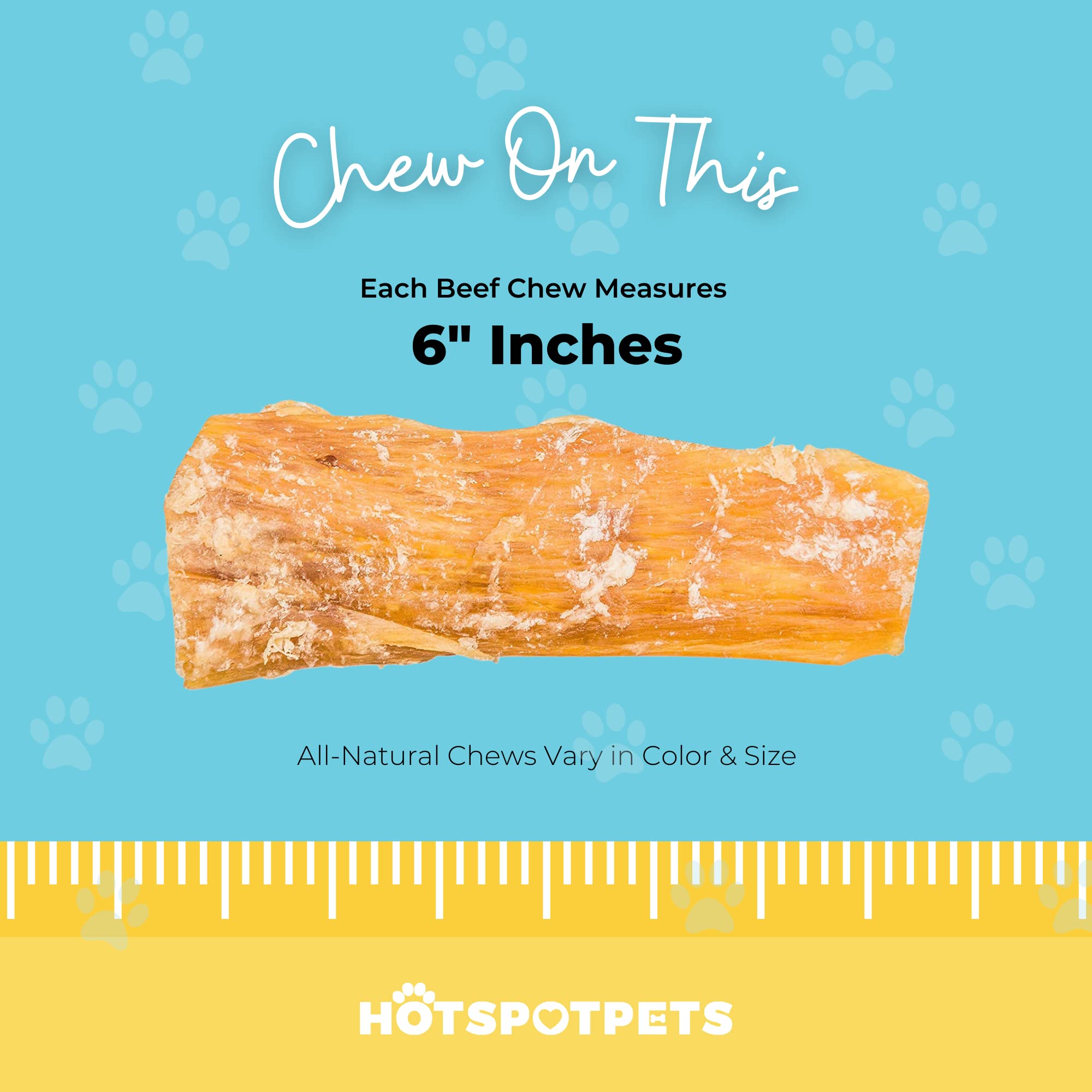 hotspot pets Beef Tendon Chews for Dogs - 6 Inch All Natural, Free-Range, Grass-Fed Premium Backstrap Tendon Dog Chews Treats