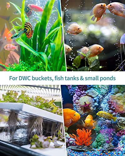 Pawfly Aquarium Air Stone Disc Bubbler 1.5 Inch Bubble Release Tool Round Oxygen Diffuser for Nano Air Pumps Fish Tanks Buckets Small Ponds and DWC Reservoirs, 4 Pack