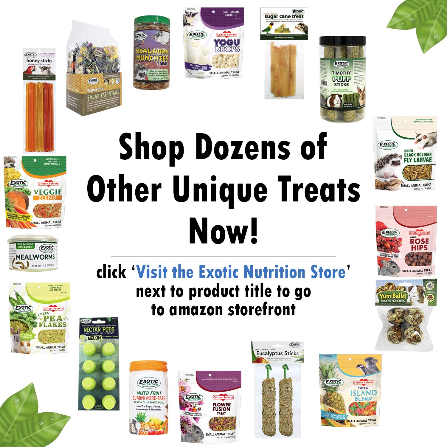 Exotic Nutrition Antler Chews - Safe Small Animal Chew - Natural Source of Healthy Minerals - Chinchilla, Hamster, Degu, Prairie Dog, Squirrel and Other Chewing Pets