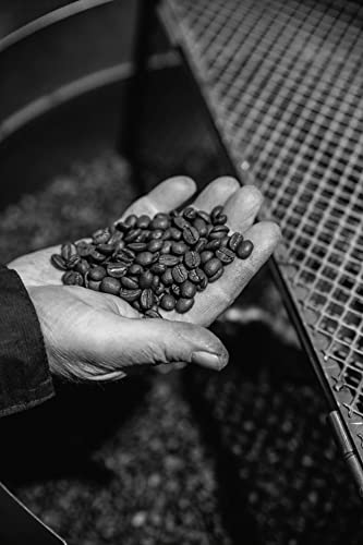 Bristot Espresso Cremoso Italiano Ground Coffee | Italian Espresso | Medium Roast | For Home Espresso Machines | 8.8oz/250g