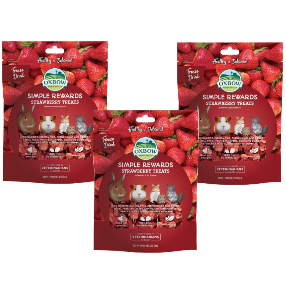Oxbow Simple Rewards Treats Rabbit Guinea Pig Chinchilla Strawberry .5 oz 3 Pack
