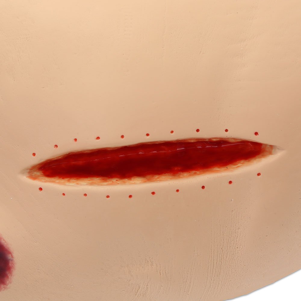 Seymour II" Wound Care Model, Light