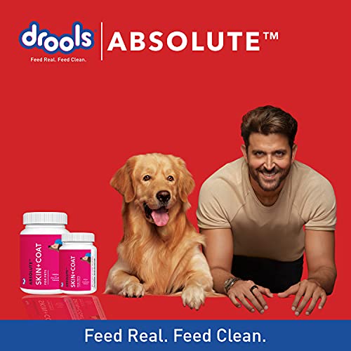 Drools Absolute Skin + Coat Tablet- Dog Supplement, 110 Piece for All Breed Sizes for Dogs Preservative-Free