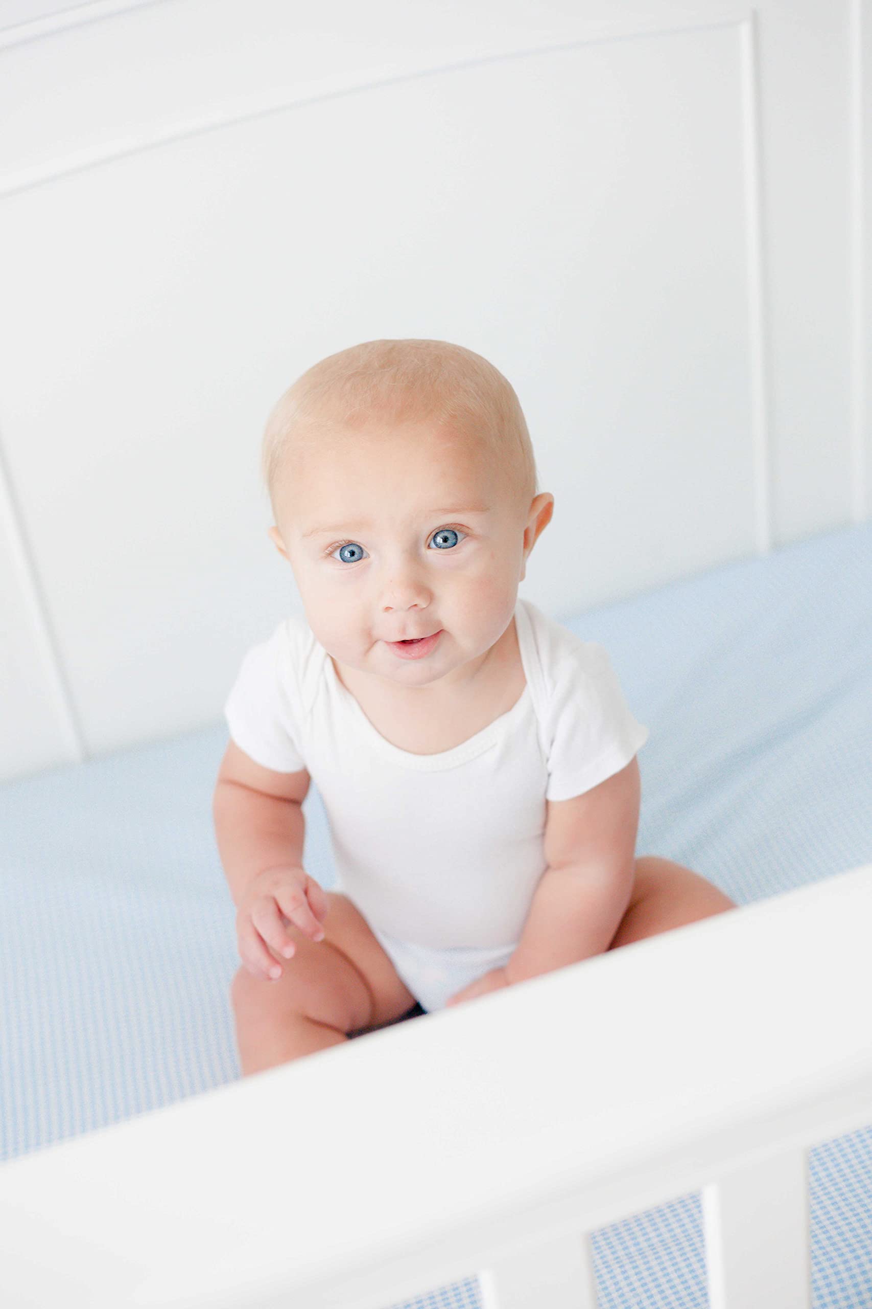 SheetWorld 100% Cotton Jersey Flat Crib Toddler Sheet 28 x 52, Blue Gingham, Made in USA