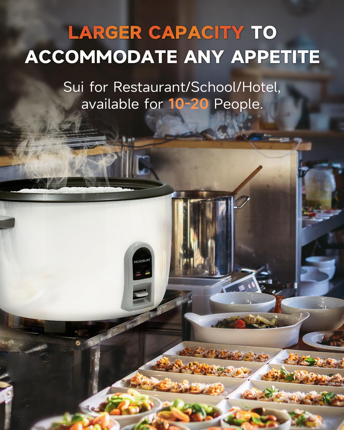 Commercial Rice Cooker, Large Capacity 20-Cup (UnCooked), 40-Cup (Cooked) with One Touch Operation and 12-Hour Keep Warm,Easy to Use and clean,1200W