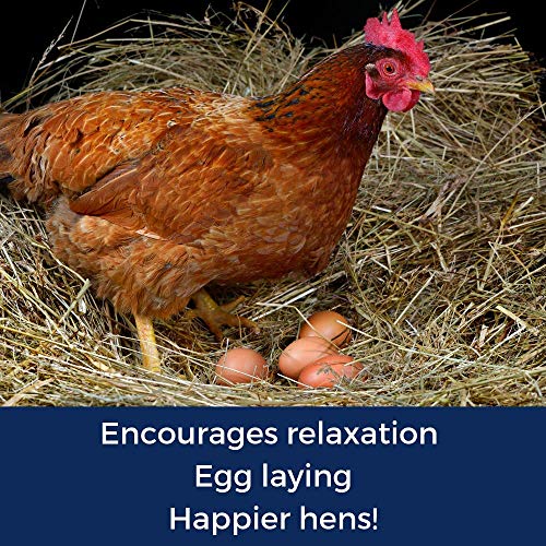 Pampered Chicken Mama Backyard Chicken Nesting Herbs for Great Eggs 10 oz - All-Natural Backyard Chicken Feed Supplies - Hen Treats for The Best Eggs Ever - High Calcium Supplement for Chickens