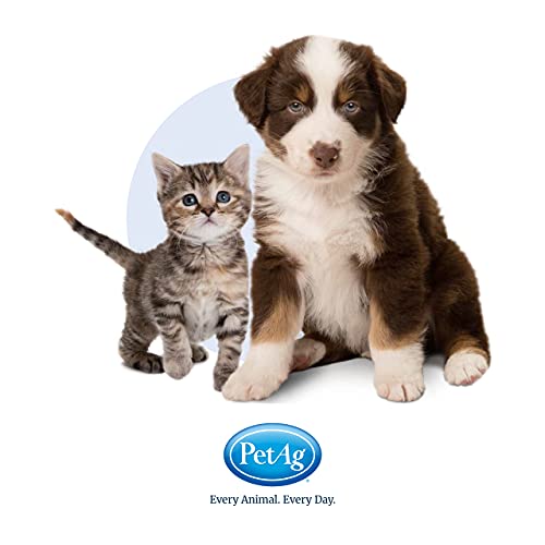PetAg Bene-Bac Plus Pet Gel - FOS & Probiotics Gel Supplement with Naturally Occurring Microorganisms - 1 Count (15 g Syringe)