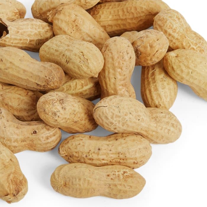 Petco Natural Unsalted Peanuts in Shell Wildlife Food
