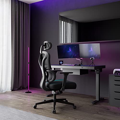 EUREKA ERGONOMIC Gaming Chair,Mesh Home Office Desk Chairs,Dual Back 3D Lumbar Support,Adjustable Armrest Headrest,Hight Back,Breathable Comfortable PC Computer Sillas Gamer Reclining Chair(Blue)