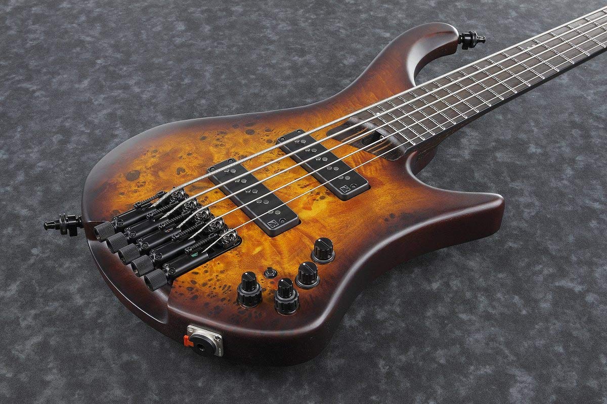Ibanez Bass Workshop EHB1505 Bass Guitar - Dragon Eye Burst Flat