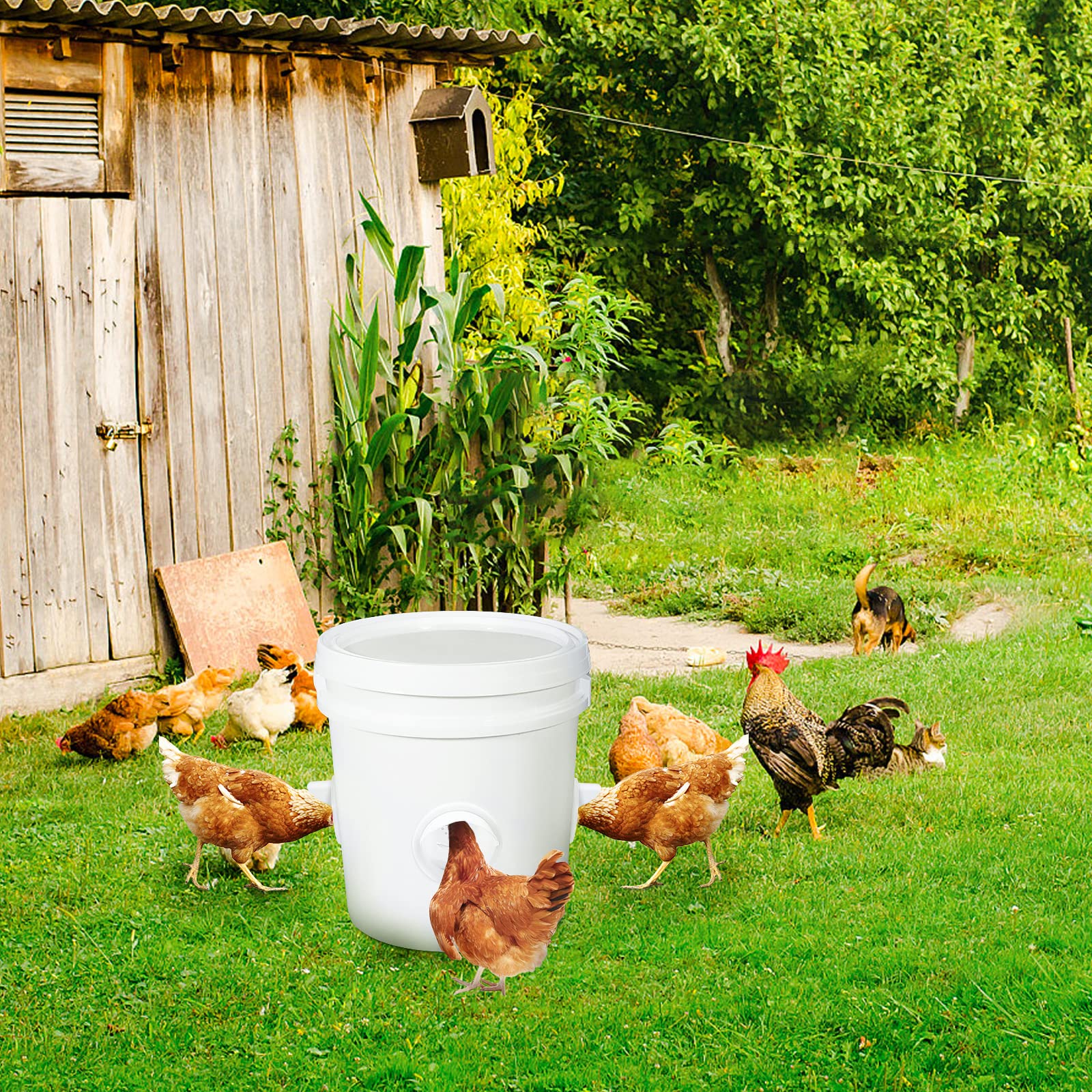 Chicken-Feeder,Chicken-Feeders-no-Waste,Chicken-Feeder-Port, Automatic Poultry Feeder Kit for Buckets, Barrels, Bins. (No Bucket), 6 Ports and a Holesaw Included