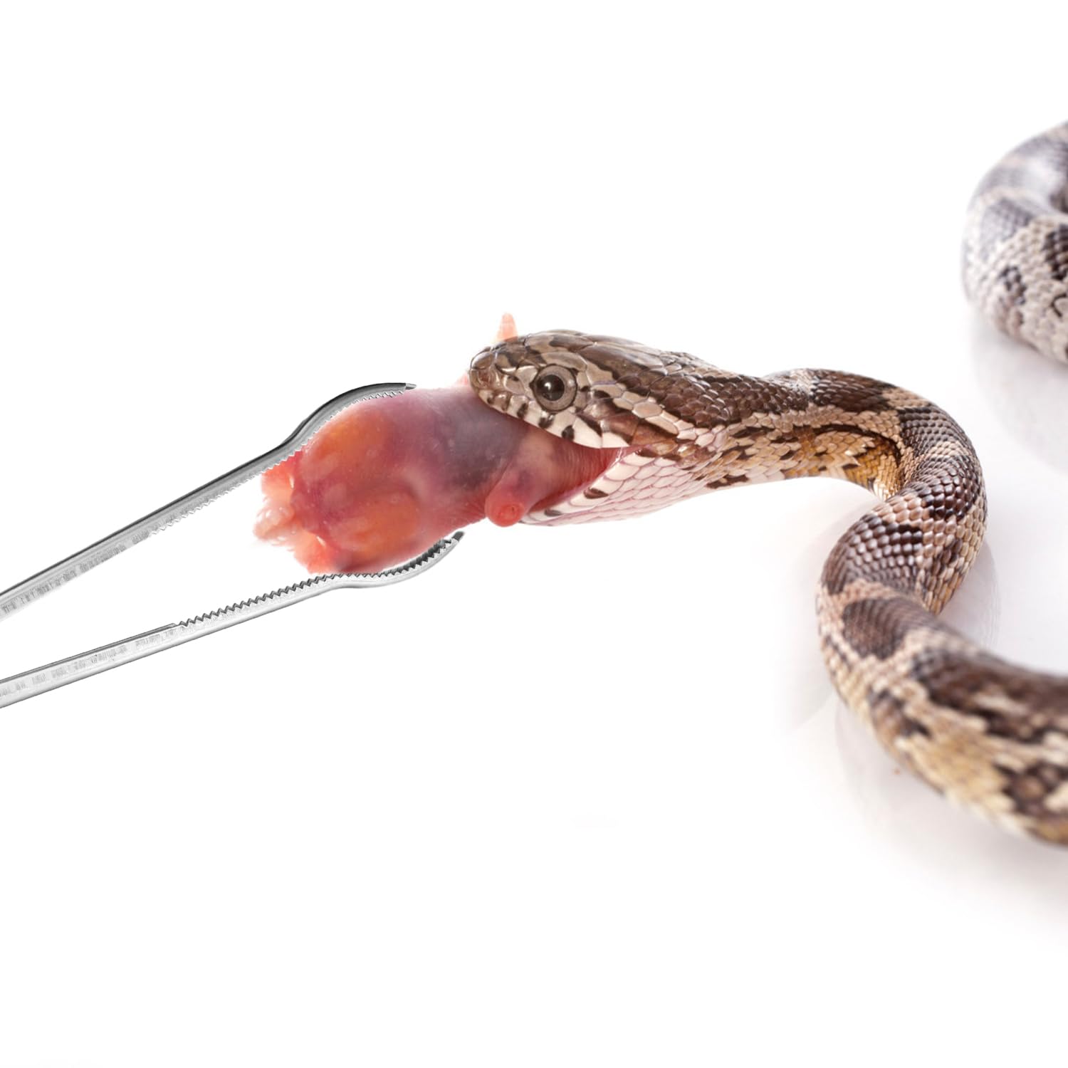 Reptile Feeding Tongs, 15 Inch Snake Feeding Tongs Anti-Skid Easy-Grip Extra Long Tweezers for Terrarium Corn Ball Python Accessories Axolotl Bearded Dragon Feeding Supplies