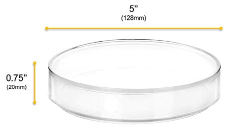 EISCO Plastic Petri Dish with Lid - 5" Diameter, 0.75" Depth - Molded in Polypropylene - Reusable - Translucent
