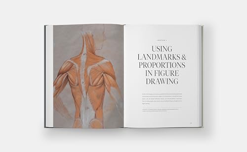 Dynamic Human Anatomy: An Artist's Guide to Structure, Gesture, and the Figure in Motion
