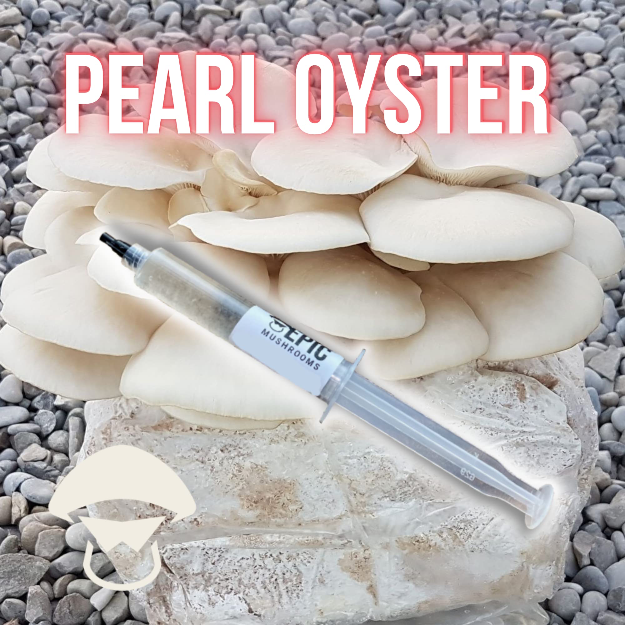 Epic Mushrooms: Lab-Grade Liquid Culture Syringe (Pearl Oyster (Pleurotus Ostreatus))